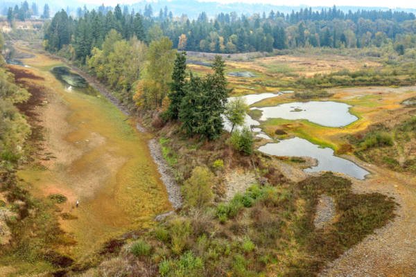 River Island Channel & Floodplain Restoration, Oregon - Interfluve