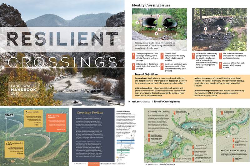 Our Work - Interfluve