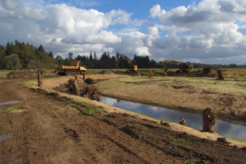 Floodplain Reconnection - Interfluve