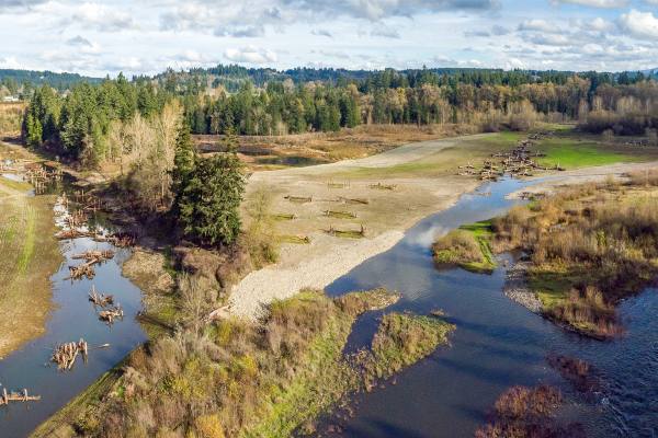 Floodplain Reconnection - Interfluve