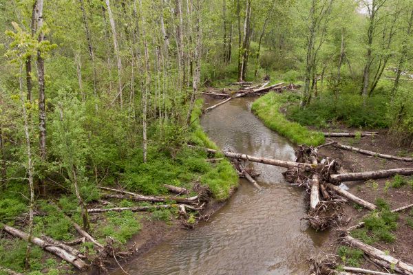 Hoosic River Flood Chute Naturalization Design, North Adams ...