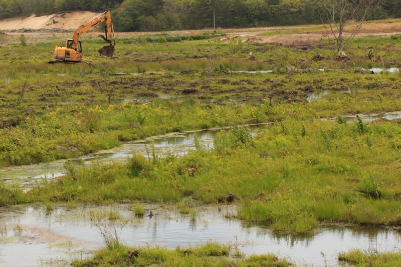 Wetlands & Peat Bogs - Interfluve