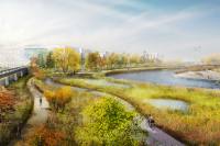 Don River, Toronto, Canada - Interfluve