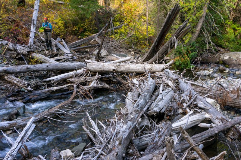 Middle & Upper Columbia River, Washington - Interfluve